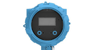 Emerson Process Management